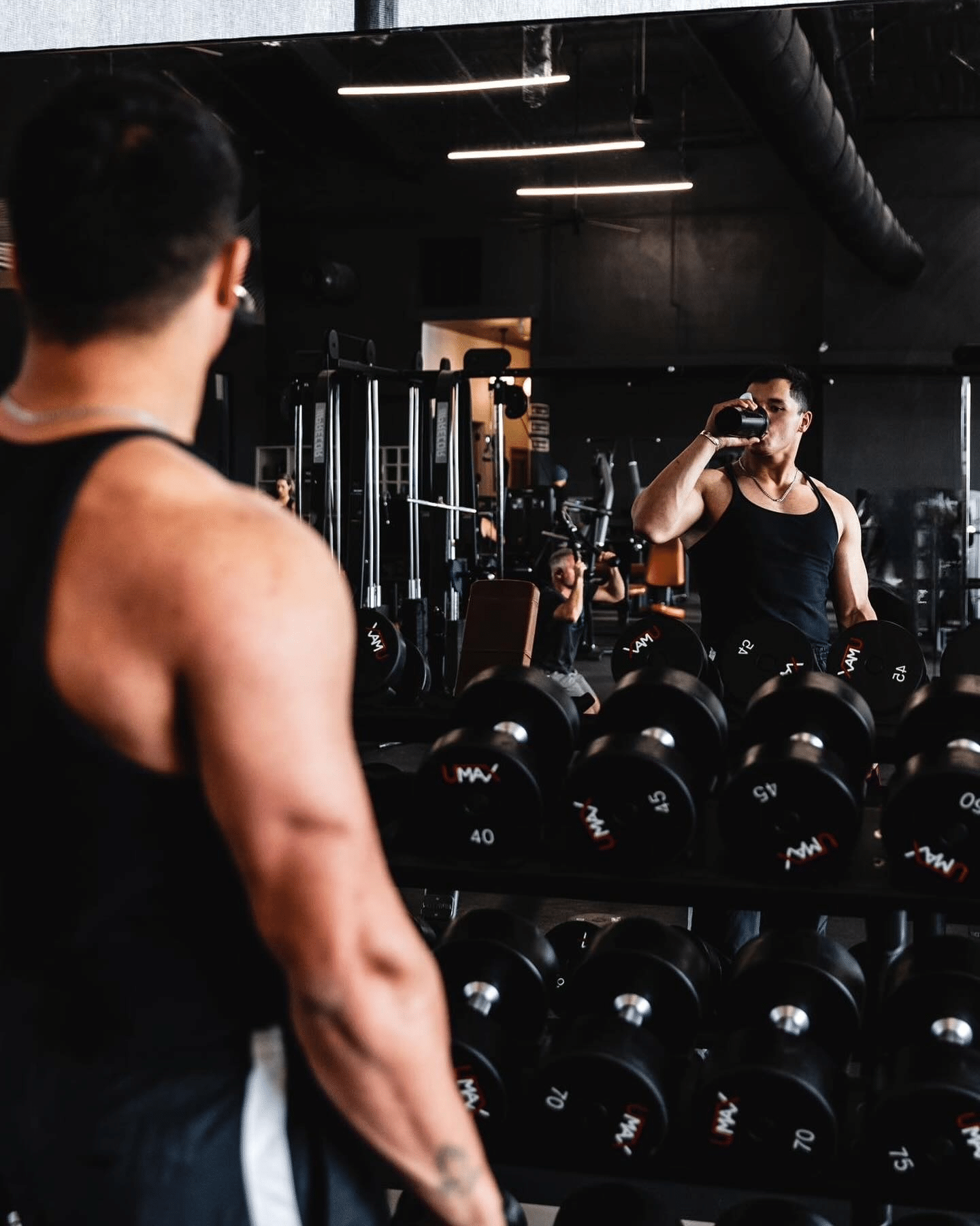 Gains in Bulk’s Protein Powders: High-Quality Nutrition for Athletes
